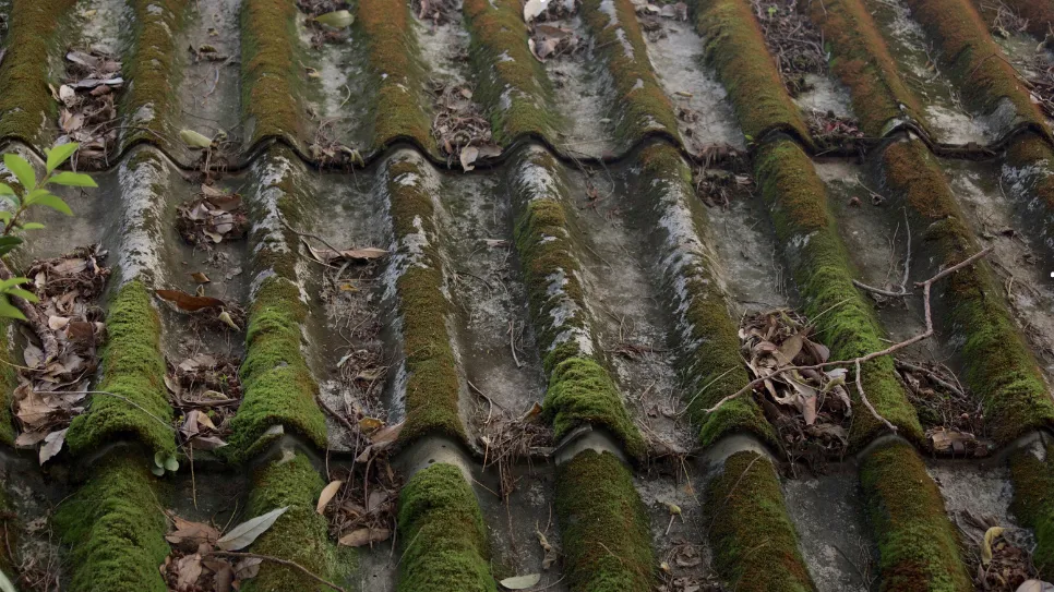 A tető beázásának jelei és a javítás legfontosabb lépései - Tudjukki.hu